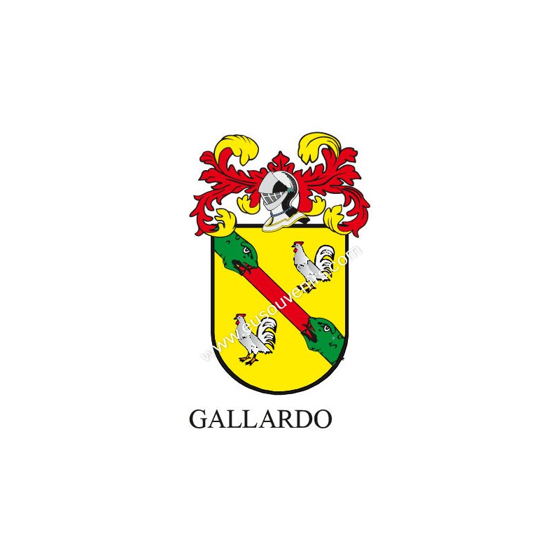 Llavero heráldico - GALLARDO - Personalizado con apellido, escudo de la ...