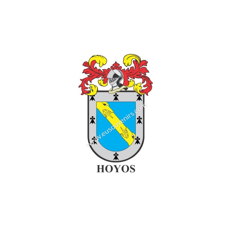 Heraldic keychain - HOYOS - Personalized with surname, family crest and ...