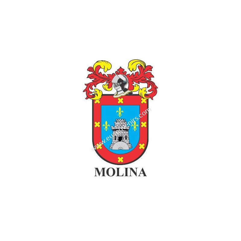 Llavero heráldico - MOLINA - Personalizado con apellido, escudo de la ...