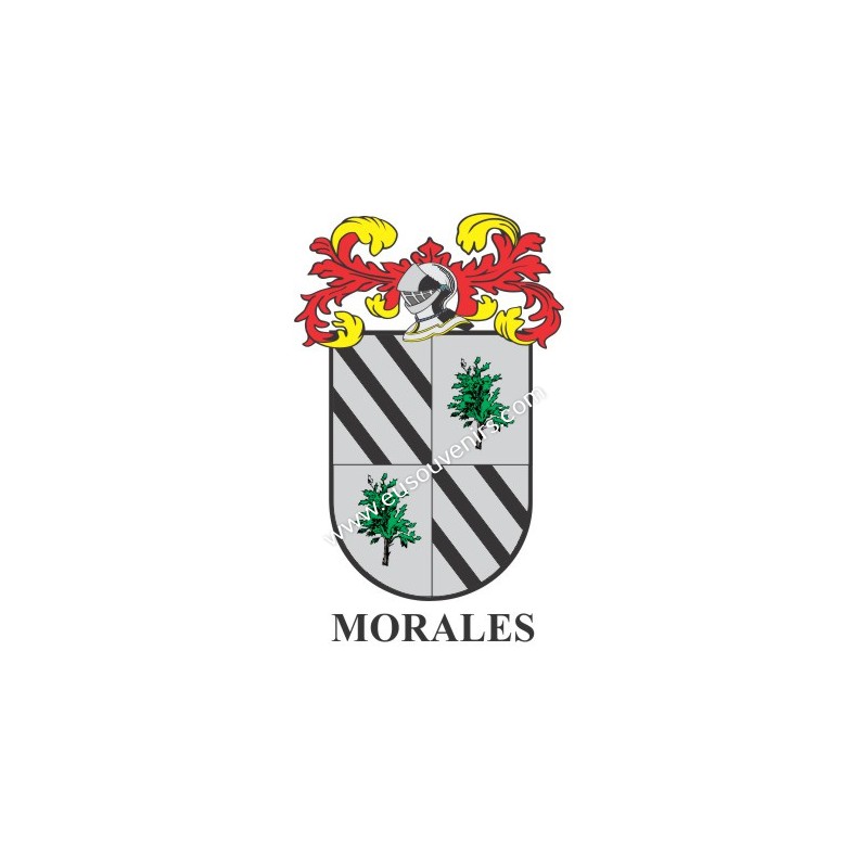 Llavero heráldico - MORALES - Personalizado con apellido, escudo de la ...